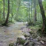 Cave River Valley Trail, Indiana - 206 Reviews, Map | AllTrails