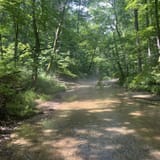 Cave River Valley Trail, Indiana - 206 Reviews, Map | AllTrails