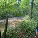 Cave River Valley Trail, Indiana - 206 Reviews, Map | AllTrails
