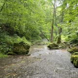 Cave River Valley Trail, Indiana - 206 Reviews, Map | AllTrails