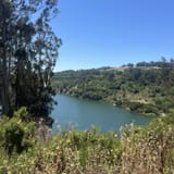 Lake Chabot Loop via West, Bass, Columbine, Honker, East Shore Trails ...