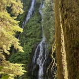 Boulder River Trail, Washington - 1,952 Reviews, Map | AllTrails