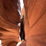 Wire Pass Trail, Utah - 3,097 Reviews, Map | AllTrails