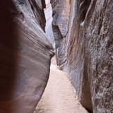 Wire Pass Trail, Utah - 3,097 Reviews, Map | AllTrails