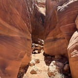 Wire Pass Trail, Utah - 3,097 Reviews, Map | AllTrails