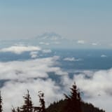 Mount Walker, Washington - 2,233 Reviews, Map | AllTrails