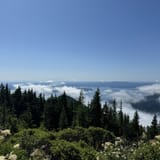 Mount Walker, Washington - 2,233 Reviews, Map | AllTrails