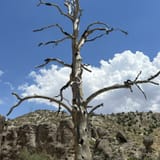 The Slots (Lower Kyle Canyon), Nevada - 225 Reviews, Map | AllTrails