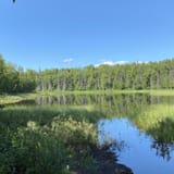 Talkeetna Lake Trail, Alaska - 791 Reviews, Map | AllTrails