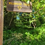 Washington Park Loop, Oregon - 1,860 Reviews, Map | AllTrails