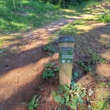 Washington Park Loop, Oregon - 1,790 Reviews, Map | AllTrails