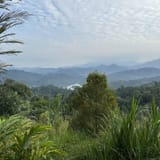 Kemensah - Bukit Pau Extended Trail, Selangor, Malaysia - 606 Reviews ...