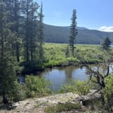 Monarch Lake Loop, Colorado - 2,685 Reviews, Map | AllTrails