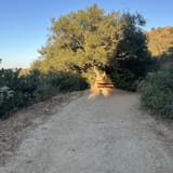 Fryman Canyon Trail, California - 6,341 Reviews, Map | AllTrails