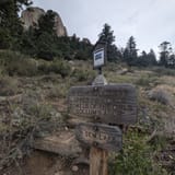 Twin Owls via Lumpy Ridge Loop, Colorado - 1,528 Reviews, Map | AllTrails