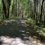 Chehalis Western Trail, Washington - 546 Reviews, Map | AllTrails