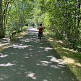 Chehalis Western Trail, Washington - 546 Reviews, Map | AllTrails
