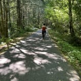 Chehalis Western Trail, Washington - 546 Reviews, Map | AllTrails