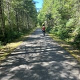 Chehalis Western Trail, Washington - 546 Reviews, Map | AllTrails