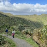 Mercer Bay Loop Track, Auckland, New Zealand - 752 Reviews, Map | AllTrails