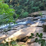 Lake to Lake Trail Loop via Lacamas Creek, Washington - 2,676 Reviews ...