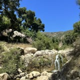 Cold Springs East Fork Trail, California - 345 Reviews, Map | AllTrails