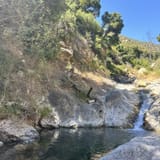 Cold Springs East Fork Trail, California - 345 Reviews, Map | AllTrails