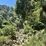 Cold Springs East Fork Trail, California - 345 Reviews, Map | AllTrails