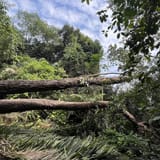 Kemensah - Bukit Pau Peak, Selangor, Malaysia - 130 Reviews, Map ...