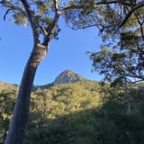 Mount Larcom Walking Trail, Queensland, Australia - 253 Reviews, Map ...