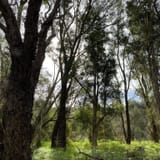 Bibra Lake Loop, Western Australia, Australia - 423 Reviews, Map ...