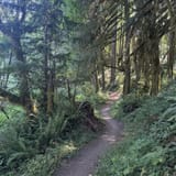Mima Falls Loop, Washington - 1,717 Reviews, Map | AllTrails