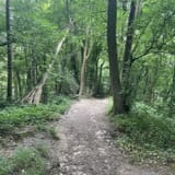 Tintern Abbey and Devil's Pulpit Circular, Monmouthshire, Wales - 835 ...