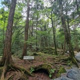 Fugaku Wind Cave - Narusawa Ice Cave Loop: 145 fotos - Yamanashi, Japão ...