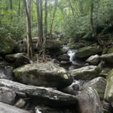 Ramsey Cascades Trail, Tennessee - 2,520 Reviews, Map | AllTrails