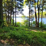 Grout Pond Trail, Vermont - 298 Reviews, Map | AllTrails