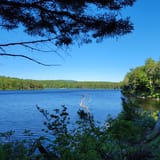 Grout Pond Trail, Vermont - 298 Reviews, Map | AllTrails