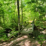 Grout Pond Trail, Vermont - 298 Reviews, Map | AllTrails