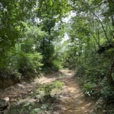 Mon Jing Loop, Chiang Mai, Thailand - 289 Reviews, Map | AllTrails