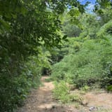 Mon Jing Loop, Chiang Mai, Thailand - 289 Reviews, Map | AllTrails