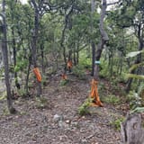 Mon Jing Loop, Chiang Mai, Thailand - 289 Reviews, Map | AllTrails