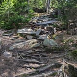 Crane Mountain Loop Hike, New York - 1,396 Reviews, Map | AllTrails