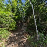 Crane Mountain Loop Hike, New York - 1,396 Reviews, Map | AllTrails