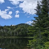 Crane Mountain Loop Hike, New York - 1,380 Reviews, Map | AllTrails