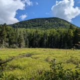 Crane Mountain Loop Hike, New York - 1,396 Reviews, Map | AllTrails