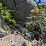 Crane Mountain Loop Hike, New York - 1,396 Reviews, Map | AllTrails