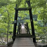 Three Ridges Loop via Appalachian Trail and Mau-Har Trail, Virginia ...