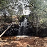 Sterkfontein Heritage Lodge Trail, Gauteng, South Africa - 49 Reviews ...