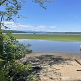 Norrie Point Trail, New York - 782 Reviews, Map | AllTrails