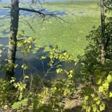 Norrie Point Trail, New York - 817 Reviews, Map | AllTrails